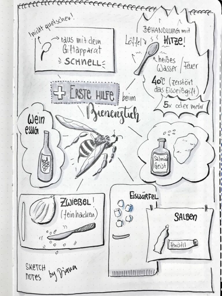 Sketchnotes und Handlettering im Bullet Journal - Sketchnotes by Diana